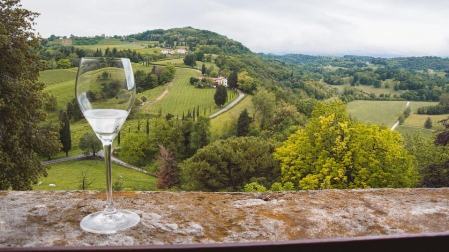From Venice: Wine and Food tour in the Prosecco Hills - Who Will Love This Tour?