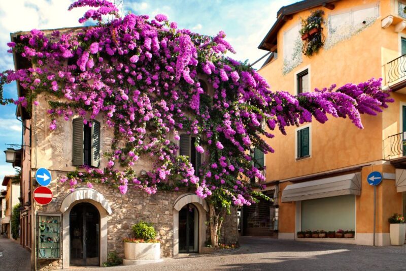 From Verona: discover Lake Garda and Sirmione private tour - The Sum Up