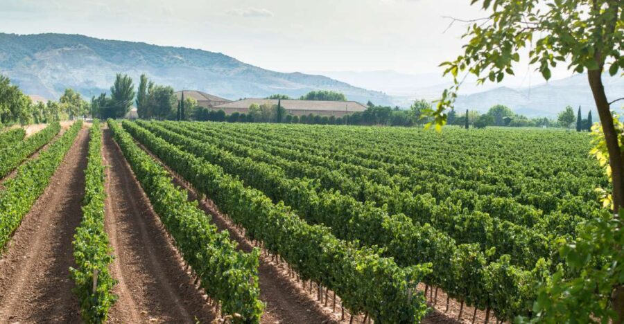 From Verona: Valpolicella and Amarone full day private tour - How Does This Tour Stack Up on Value?