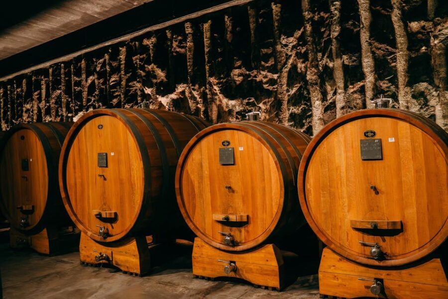 From Verona: Valpolicella and Amarone Wine Tasting Tour - The Value of the Experience