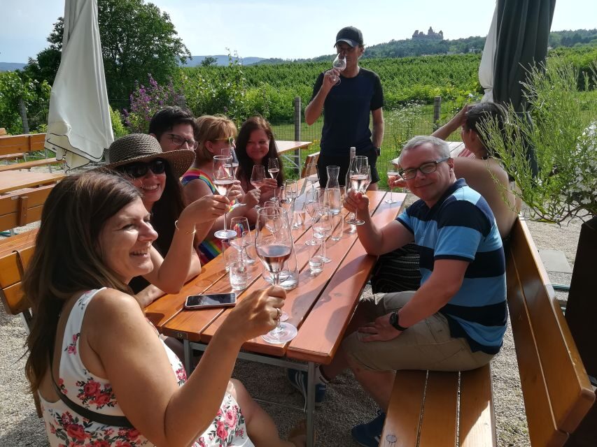 From Vienna: Half-day Countryside Wine Tour with Meal - Price and Value
