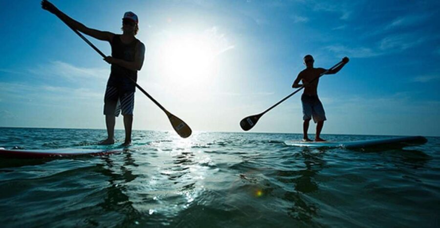 Fuerteventura: 1.5-Hour SUP Course - Caleta de Fuste - The Instruction and Practice