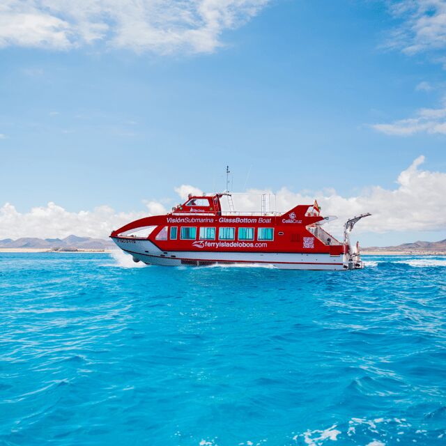Fuerteventura: 1-Hour Mini Swim & Snorkel Cruise - The Itinerary in Detail
