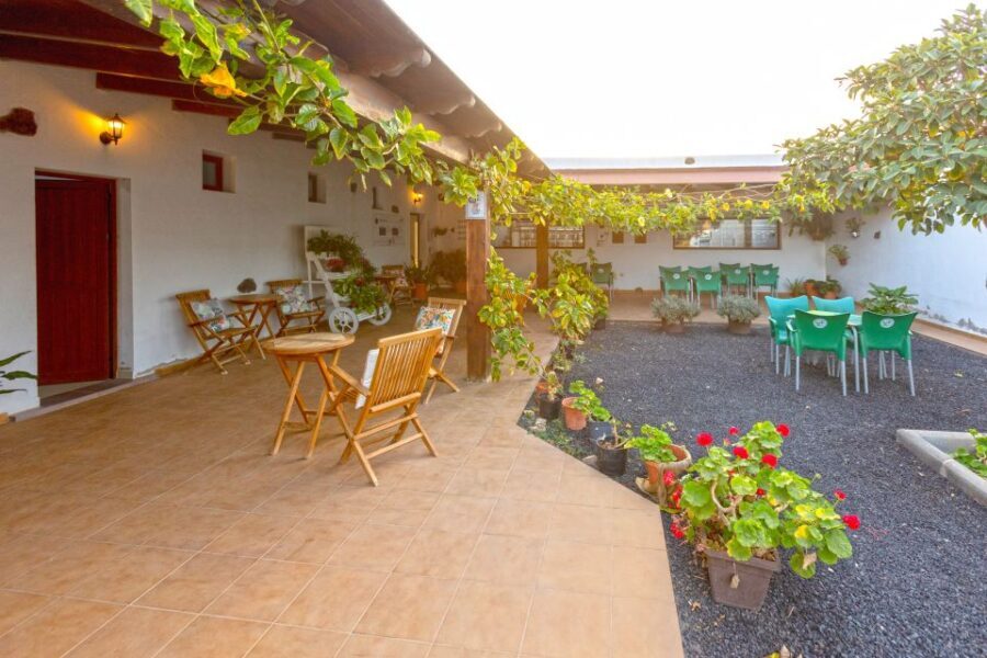 Fuerteventura: Artisan Goat's Cheese Making at Local Farm - The Value of This Tour