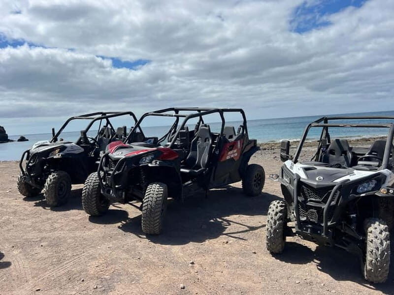 Fuerteventura: Can am buggy experience Costa Calma - Who Will Love This Tour?