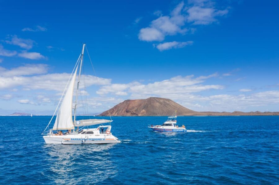 Fuerteventura : Catamaran excursion to Lobos Island - What makes this tour stand out?