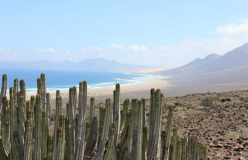 Fuerteventura: Cofete Safari - What’s Included & What You Should Know