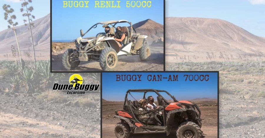 Fuerteventura: Dune Buggy Tour in Northern Fuerteventura - Who Will Love This Tour?