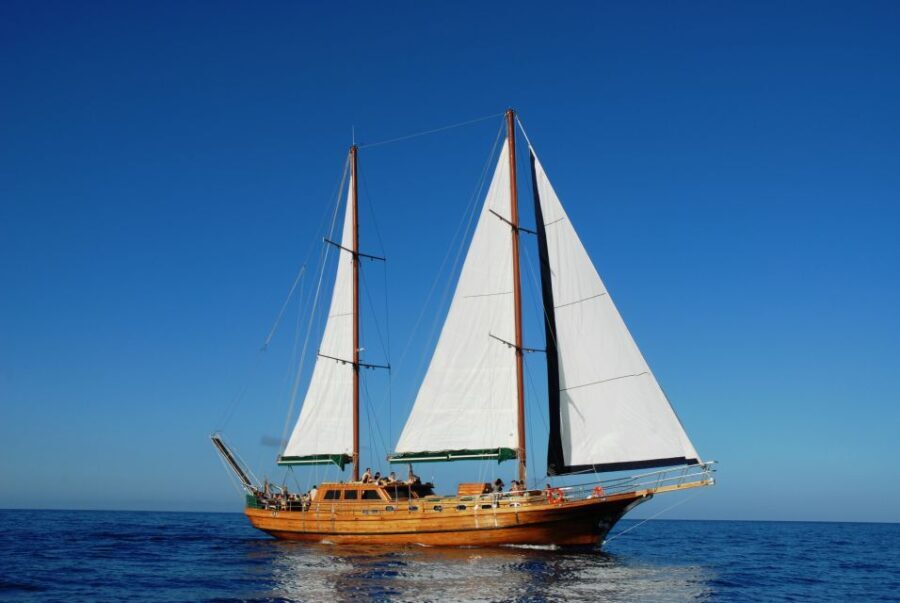 Fuerteventura: Exclusive Turkish Gulet Cruise with Lunch - Potential Drawbacks