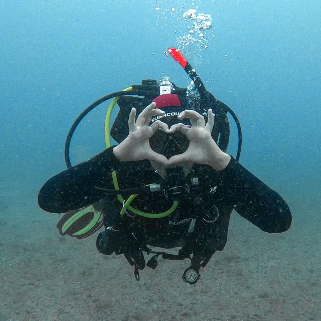 Fuerteventura: Introductory Dive in La Lajita with Pickup - Key Points