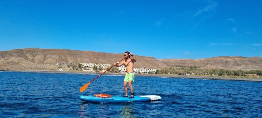 Fuerteventura : Stand Up Paddle - Introduction: Why This Paddleboarding Tour Might Be a Great Choice