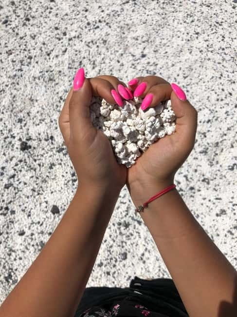 Fuerteventura: Top 5 Instagram | Full-Day Tour - Practical Details and What to Expect