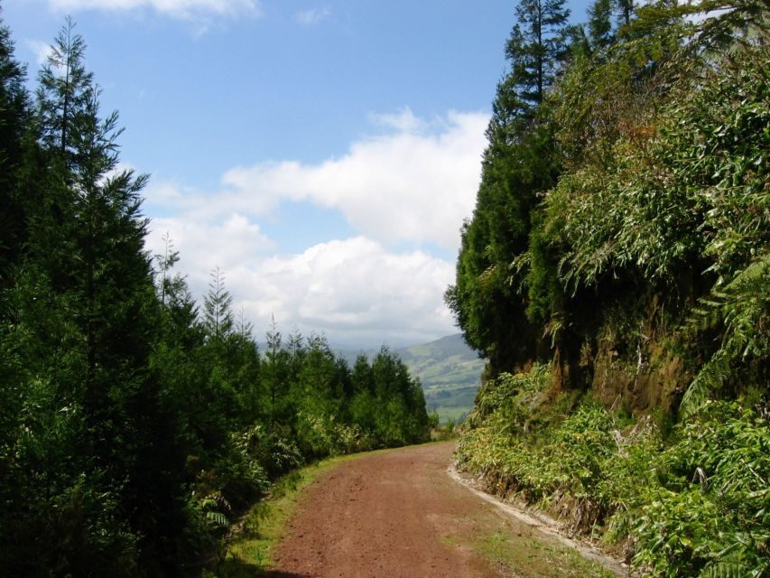 Full-Day 4x4 Nordeste Azores Tour from Ponta Delgada - A Deep Dive into the Nordeste 4x4 Adventure
