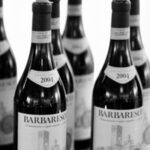 Full-Day Barbaresco Wine Tour with Truffle Hunting and Lunch - Who Should Consider This Tour?