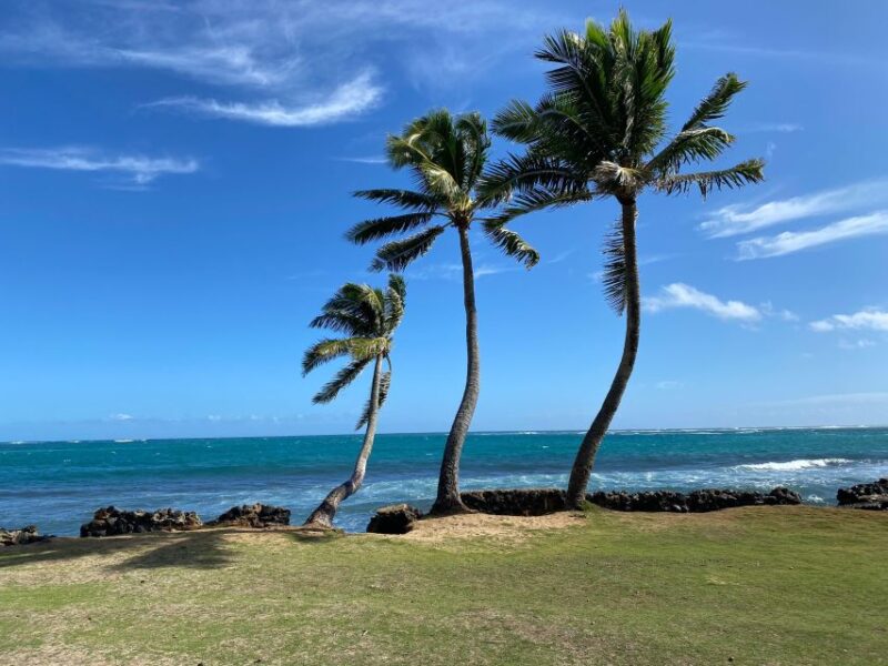 Full Day Best of Oahu Sightseeing Tour - A Complete Look at the Full Day Best of Oahu Sightseeing Tour