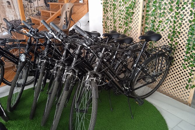 Full Day Bike Rental in Seville - Full Day Bike Rental in Seville: An Authentic and Scenic Way to Explore