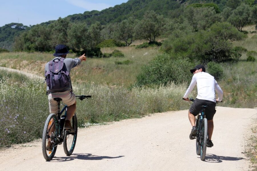 Full-Day Electric Bike Tour: Arrábida Nature Park - Practical Details and Value