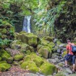 Full-Day Faial da Terra + Nordeste from Ponta Delgada - Whats Included and Whats Not