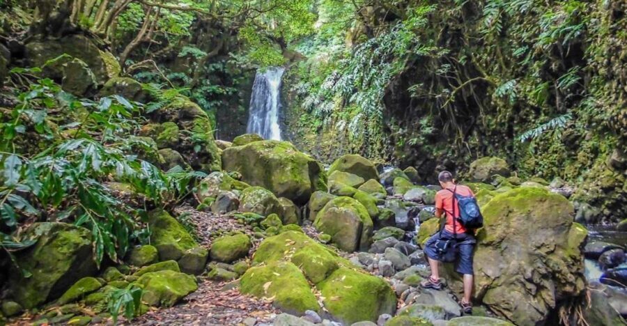 Full-Day Faial da Terra + Nordeste from Ponta Delgada - Whats Included and Whats Not