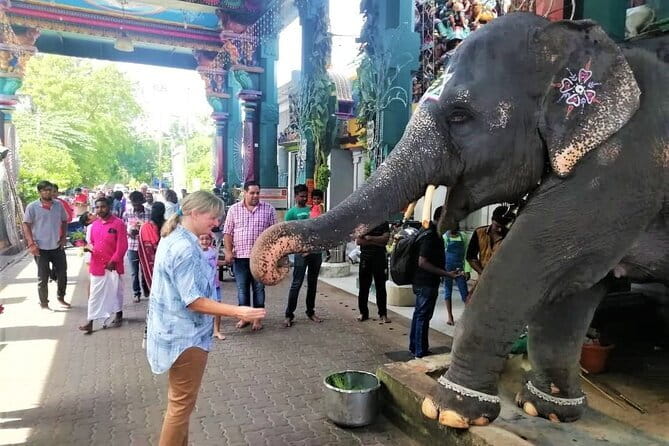 Full Day Guided Tour of Pondicherry with lunch and hotel pickup - An In-Depth Look at What You’ll Experience