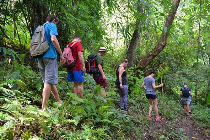Full-Day Hike and Bike Tour from Chiang Mai - What’s Included and What’s Not