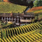 Full-Day Langhe Region Tour with Wine Tasting Experience - Practical Considerations