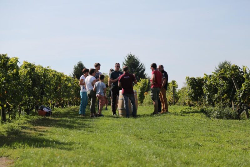Full Day Loire Valley Wine Tour with lunch: Vouvray & Chinon - Key Points