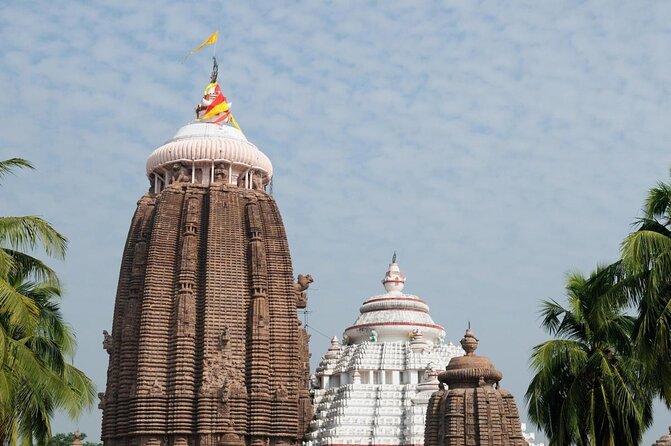 Full Day Tour of Konark Temple and Puri - Why This Tour Stands Out
