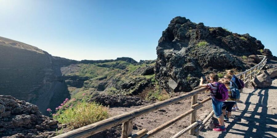 Full Day Tour: Pompeii and Vesuvio with Bus Transfer - Summing Up: Who Is This Tour Best For?