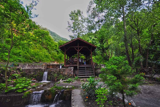 Full Day Tour Sapanca and Masukiye from Istanbul - An In-Depth Look at the Tour Itinerary