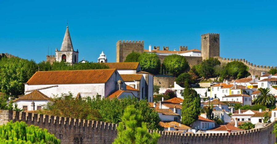 Full Day Tour - Transfer to Porto from Lisbon with Stops - Who Should Consider This Tour?