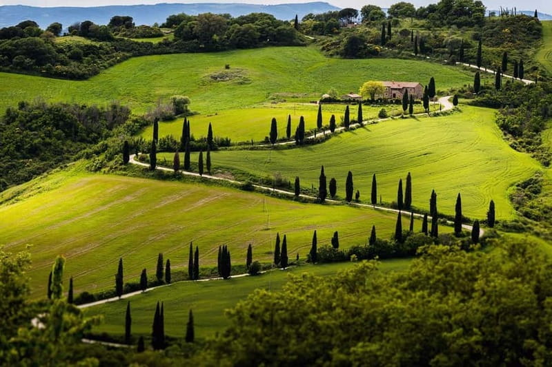 Full Day Tuscan Tour: Pisa,Lucca,Chianti Winery meal/tasting - Key Points
