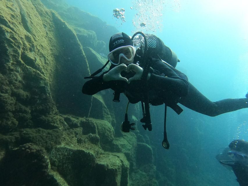 Fun Dive for Certified Divers in Tenerife - Why Consider a Fun Dive in Tenerife?