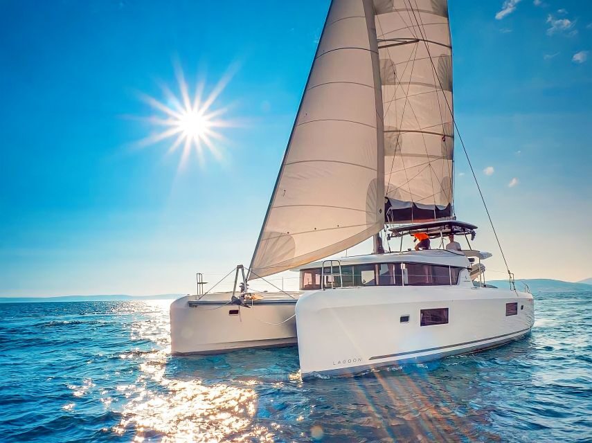 Funchal Bay: Dolphin & Whale Watch Luxury Catamaran Cruise - The Practical Details