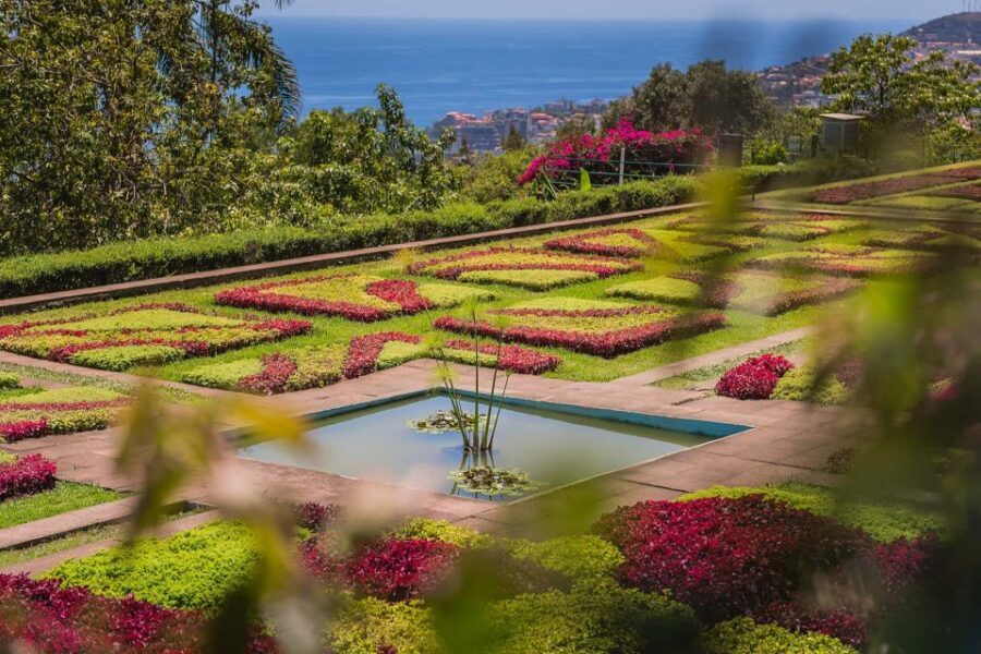 Funchal: Botanical Garden and Old Town Private Tuk-Tuk Tour - The Itinerary: What to Expect