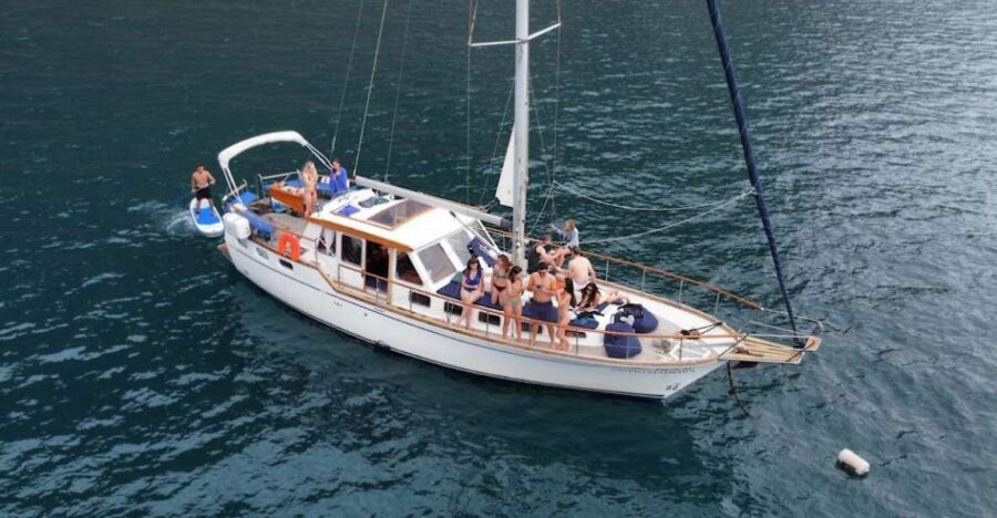Funchal: Dolphin and Whale Watching Sailing Trip - Why This Tour Stands Out