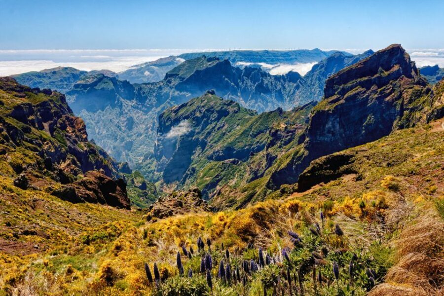 Funchal: East Madeira Island Guided Tour & Laurissilva Walk - Itinerary Breakdown