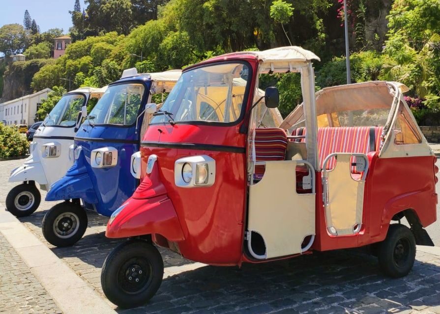 Funchal: Guided City Tuk-Tuk Tour - What to Expect from the Funchal Guided Tuk-Tuk Tour