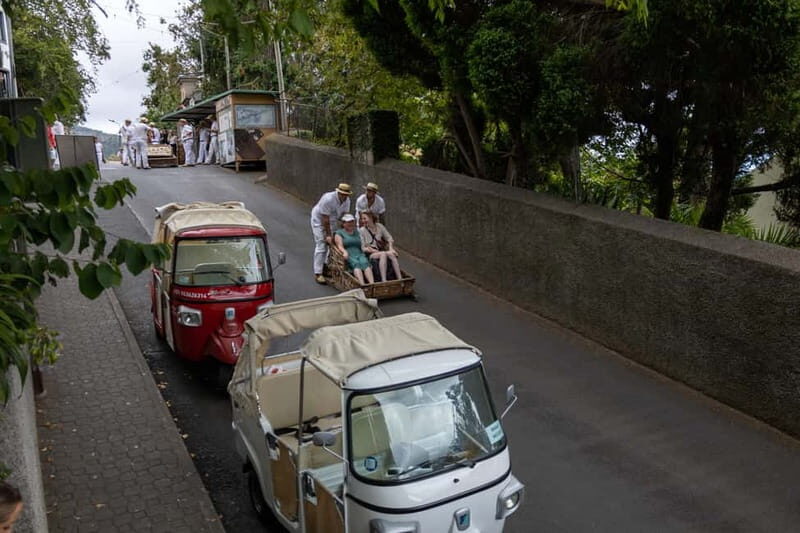 Funchal: Guided Tuk Tuk Tour to Toboggan Rides & Old Town - Who Should Consider This Tour?