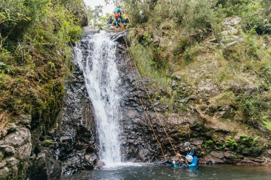 Funchal: Half-Day Beginner-Friendly Canyoning Experience - The Itinerary: Step-by-Step