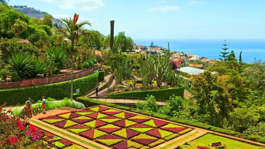 Funchal: Madeira Botanical Garden Private Tuk-Tuk Tour - Who Will Love This Tour?