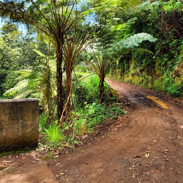Funchal: Madeira Island 4x4 Private Customizable Tour - Who Will Love This Tour?