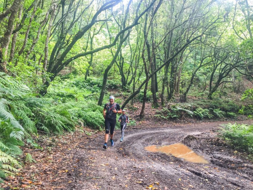 Funchal: Ocean to Mountain Running Tour - Practical Tips for Participants
