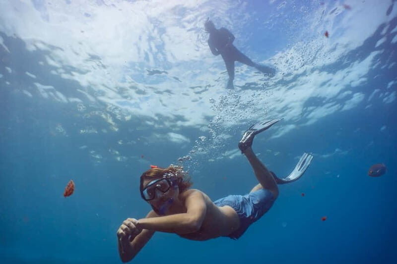 Funchal: Snorkeling Adventure in Eco-Park / Shore or by Boat - A Closer Look at the Snorkeling Adventure