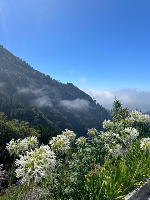 Funchal: Valley of the Nuns tour by tuk tuk - An In-Depth Look at the Nuns Valley Tuk Tuk Tour