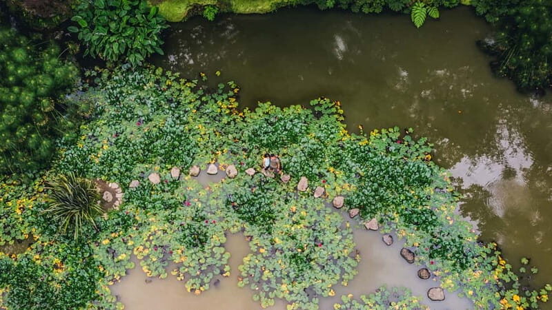 Furnas & Terra Nostra Botanic Park Tour w/Lunch + Hotsprings - Exploring the Itinerary in Detail