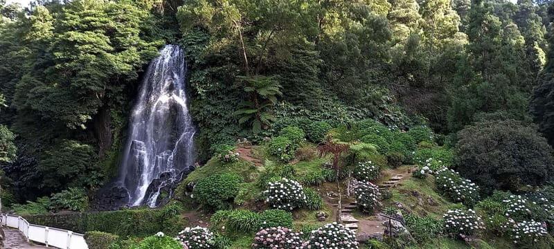 Furnas Volcano: Full Day Tour, Hot Springs & Waterfalls - What to Expect from the Experience