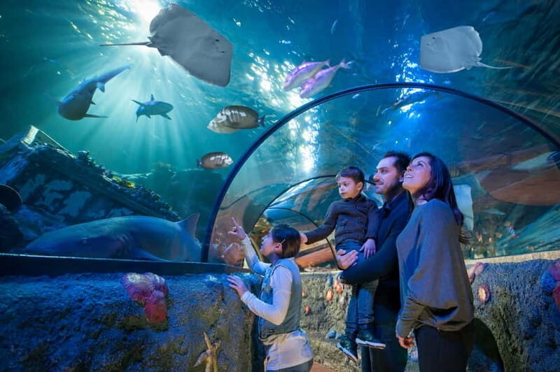 Gardaland SEA LIFE Aquarium: Open Date Entry Ticket - The Experience of Walking Through the Aquarium