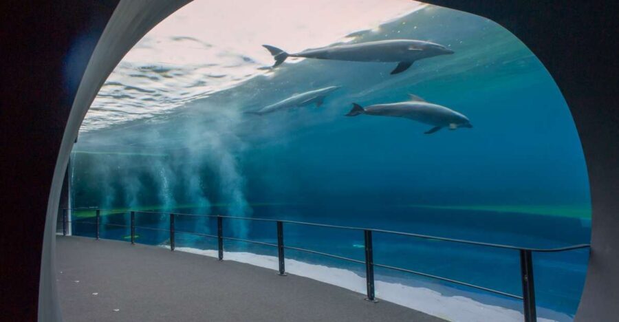 Genoa: Aquarium and FantaCinema Combined Ticket - Exploring the Genoa Aquarium: Italy’s Marine Marvel