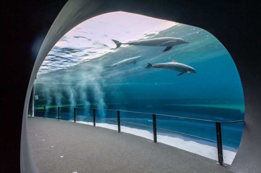 Genoa: Aquarium & Christopher Columbus' House Entry Tickets - Detailed Breakdown of the Experience